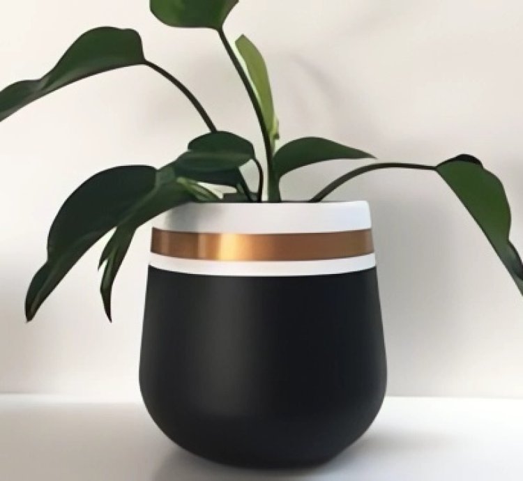 Fiber Pot - Touch Home