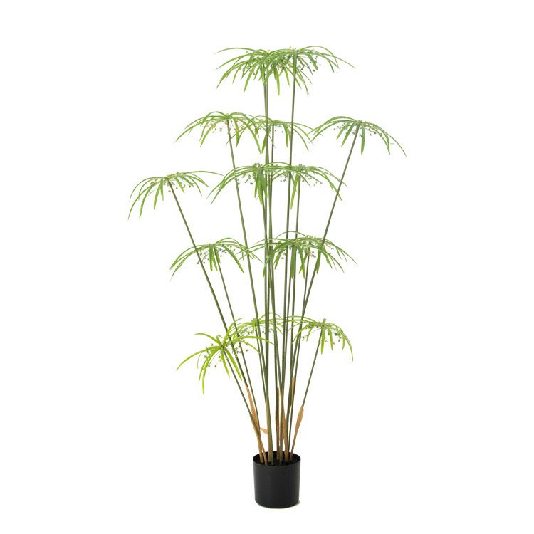Artificial Papyrus Plant - Touch Home