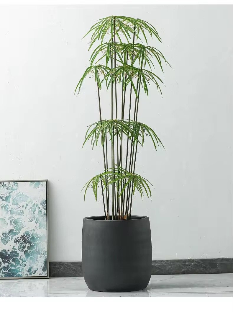 Artificial Papyrus Plant - Touch Home