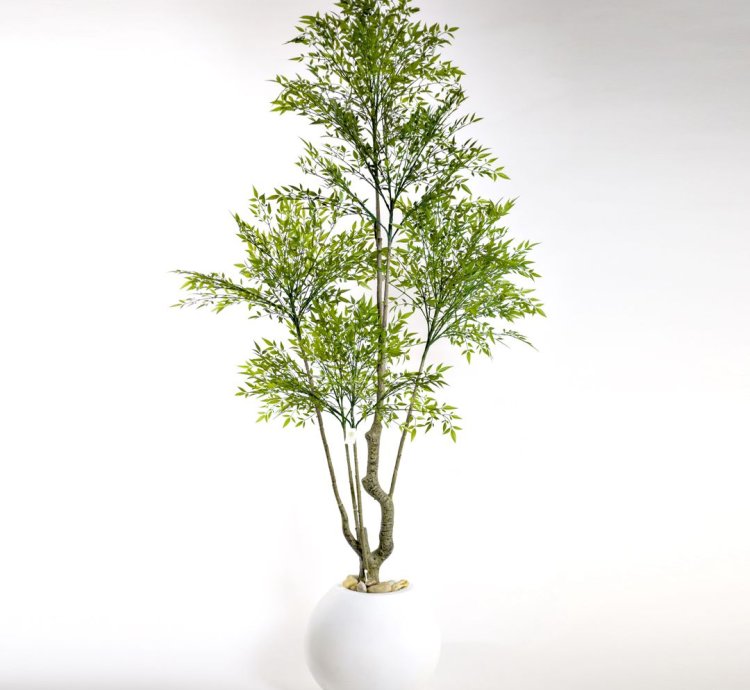 Elegant Benjamina tree with natural look (without pot) - Touch Home
